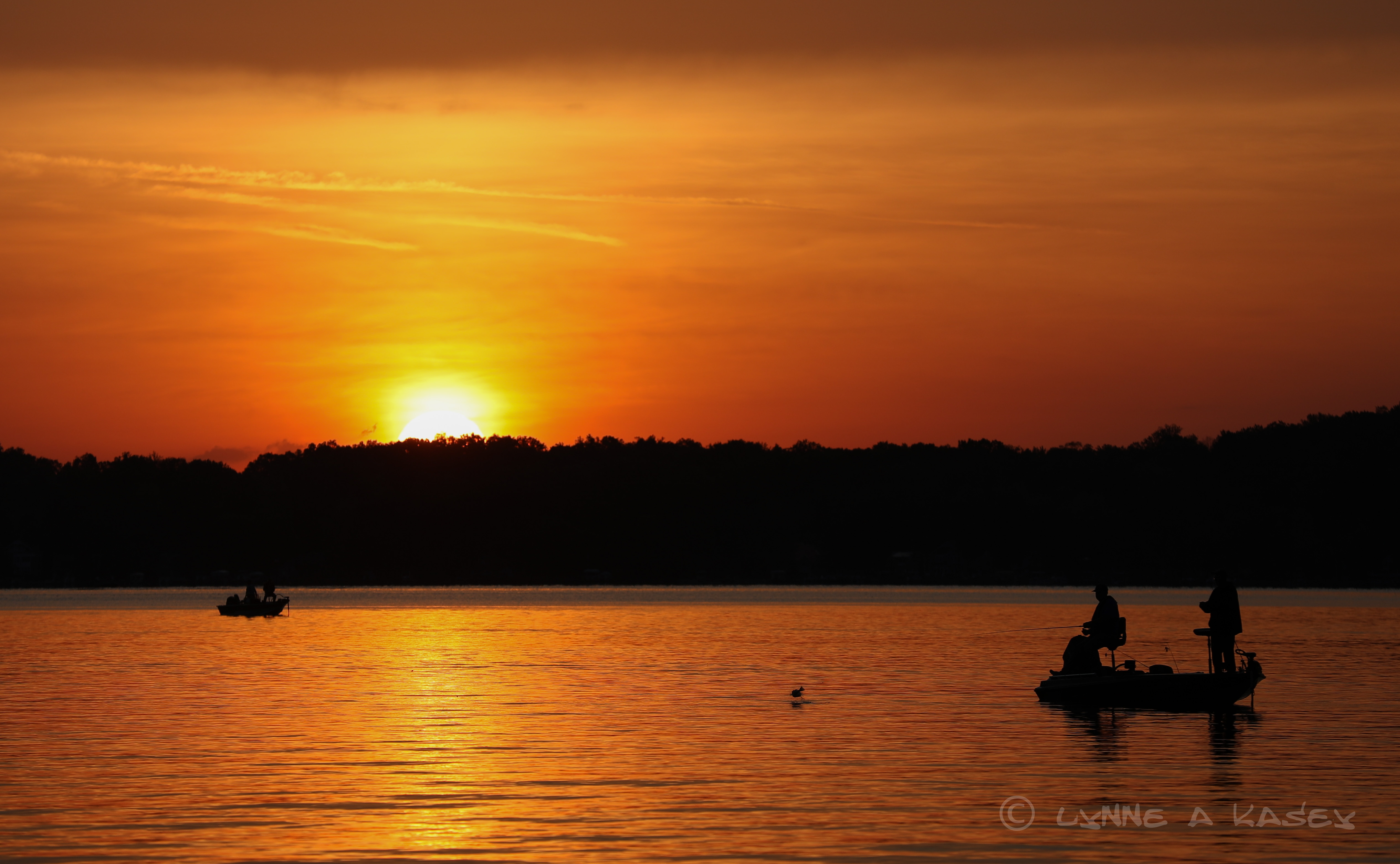 Early Morning Catch | Shutterbug